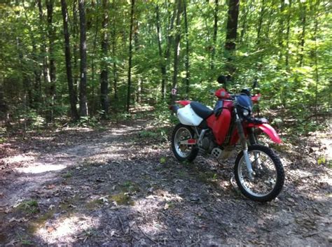 LBL Dual Sport Ride: Adventure Awaits! - Grouse Mountain Experience