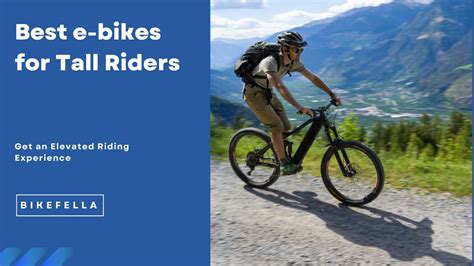 Best Beginner Sport Bikes for Short Riders: Top Picks - Grouse Mountain ...